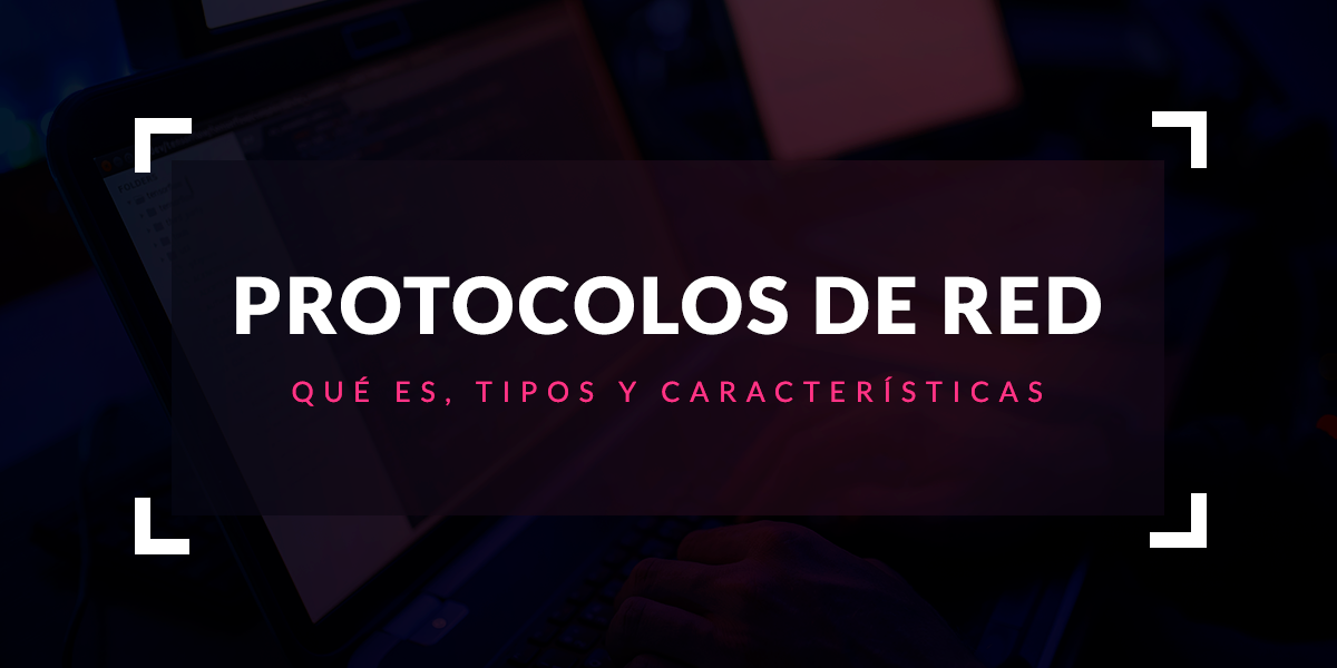 Protocolo de red: Qué es, tipos y características | OpenWebinars
