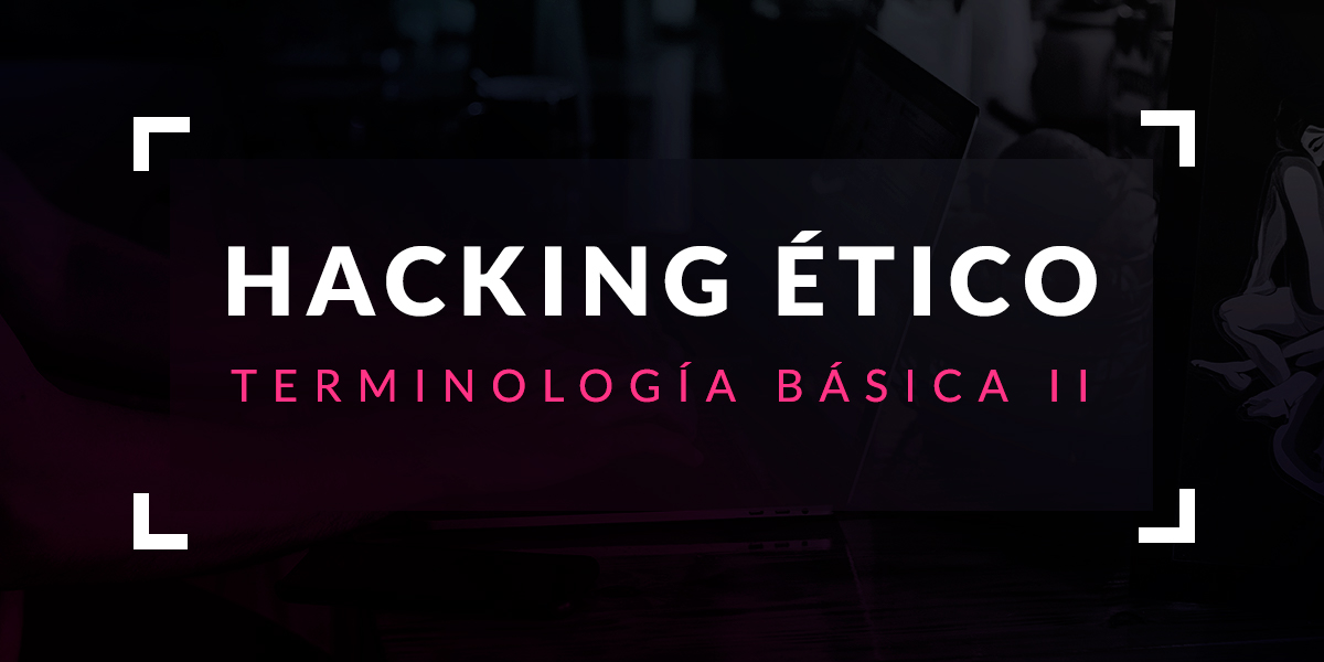 Líderes en formación tecnológica, reskilling y upskilling | OpenWebinars